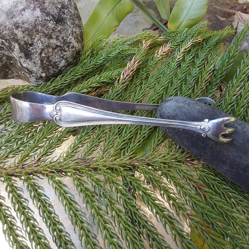 Rogers Bros. Silver Plate Tongs - Vintage Sugar Tongs - Excellent ...