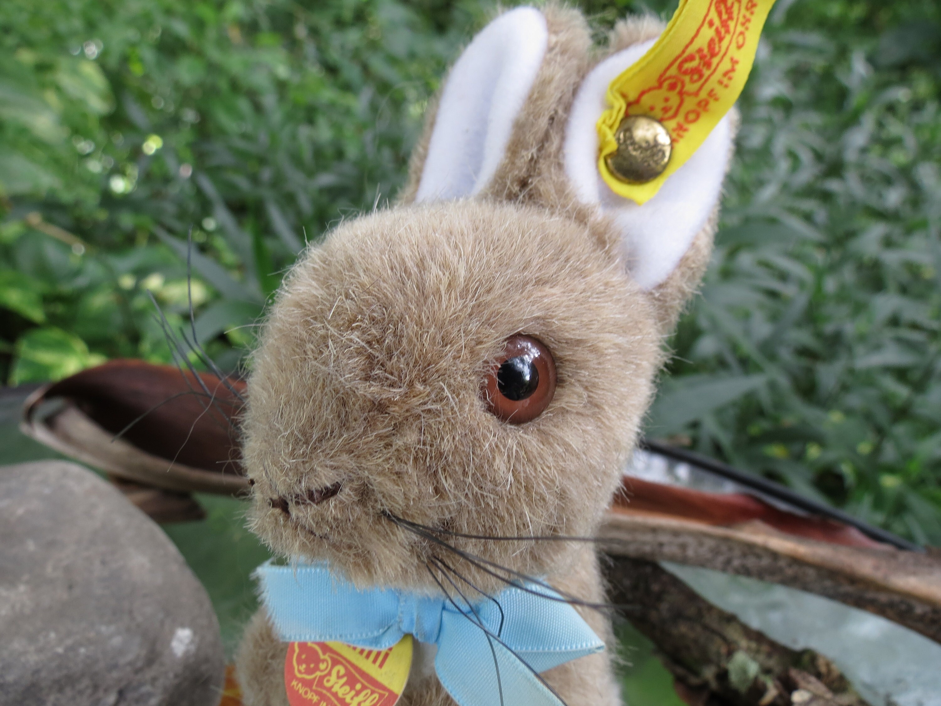 Antique Steiff Plush Bunny Rabbit Old Steiff Stuffed Toy - Etsy