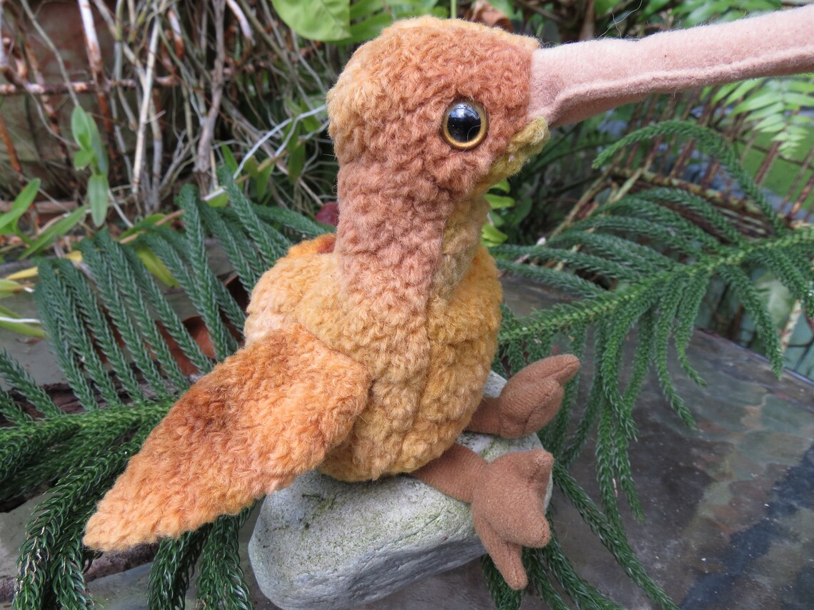 TY Beak Beanie Baby Kiwi Bird Vintage Plush | Etsy