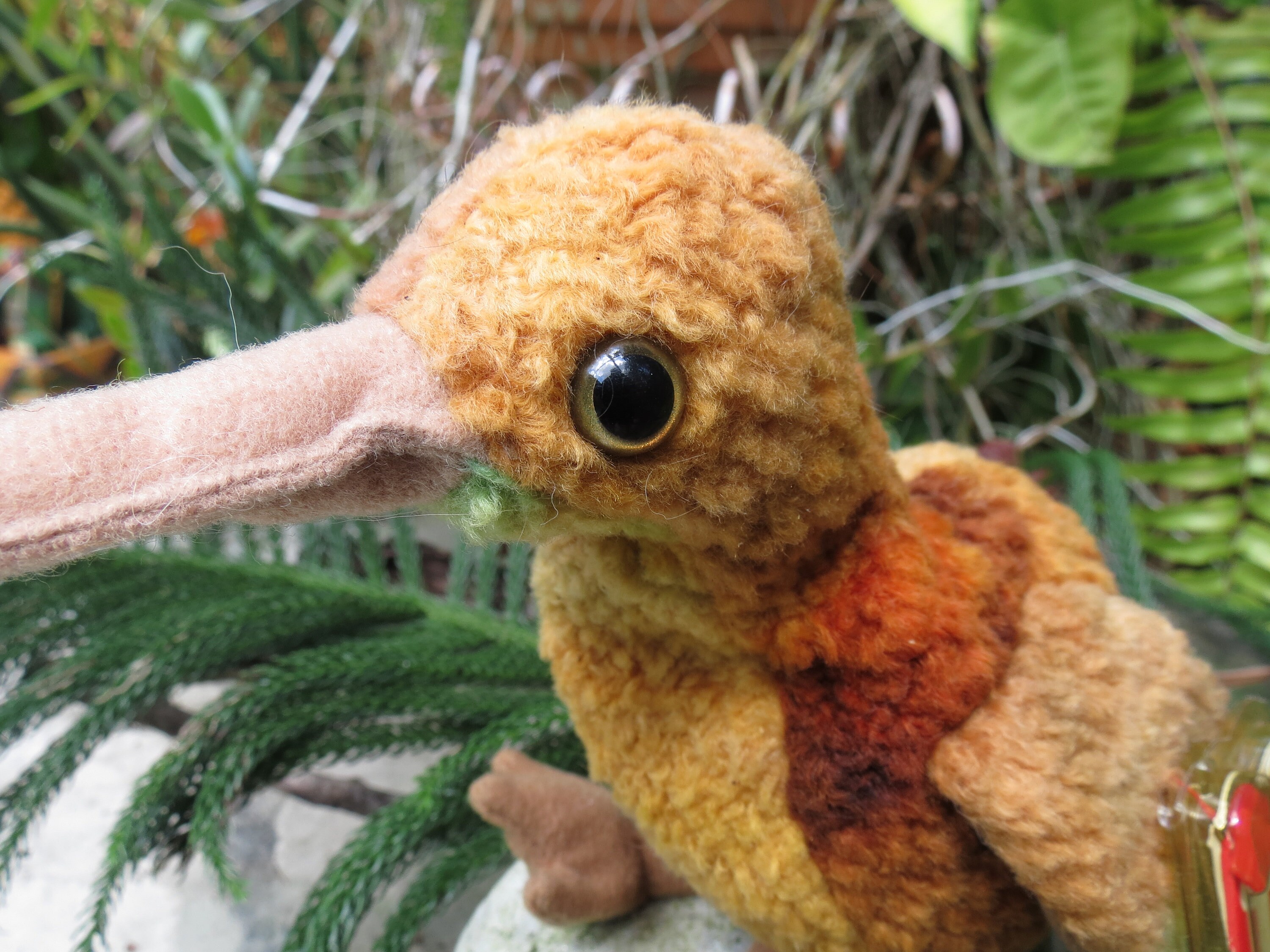 TY Beak Beanie Baby Kiwi Bird Vintage Plush | Etsy