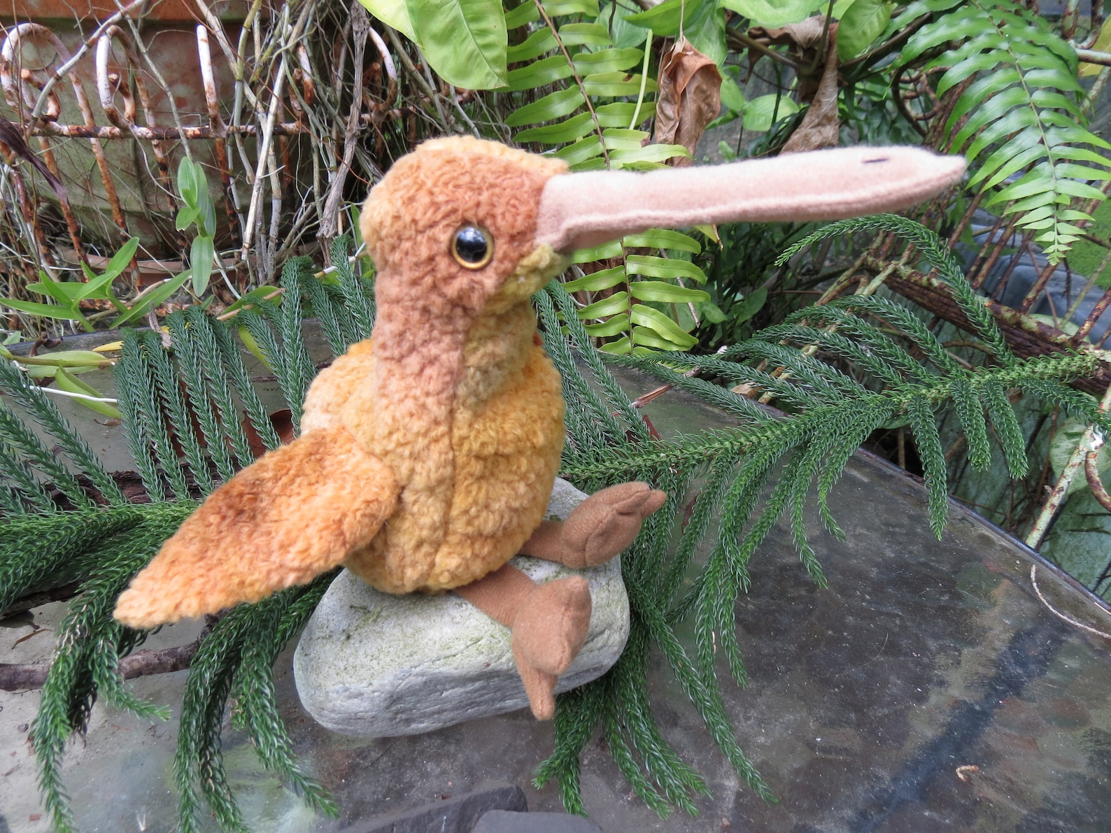 TY Beak Beanie Baby Kiwi Bird Vintage Plush | Etsy