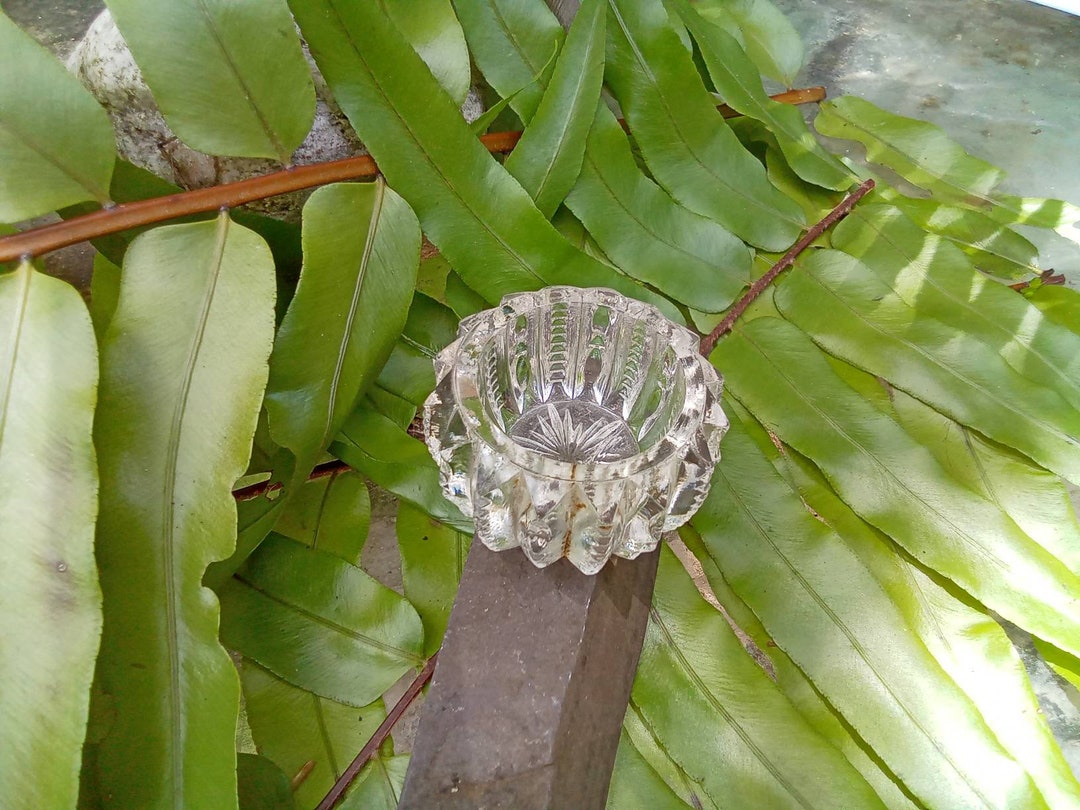 Pressed Glass Salt Cellar- Antique Crystal Salt Dip - Beautiful ...