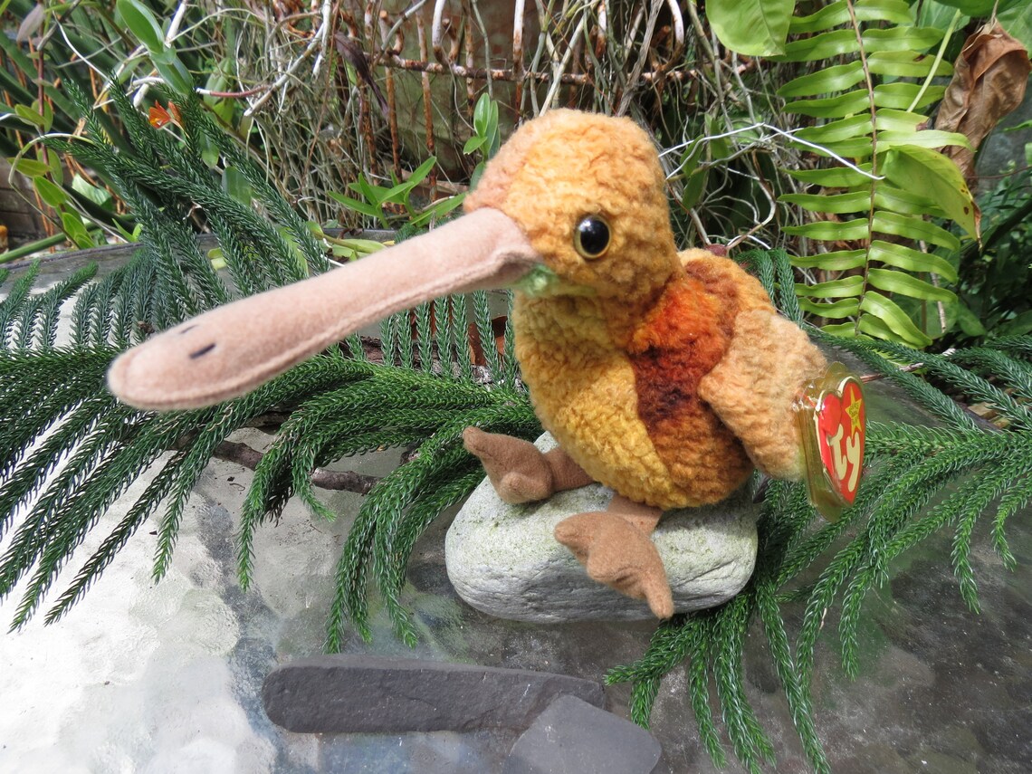 TY Beak Beanie Baby Kiwi Bird Vintage Plush | Etsy