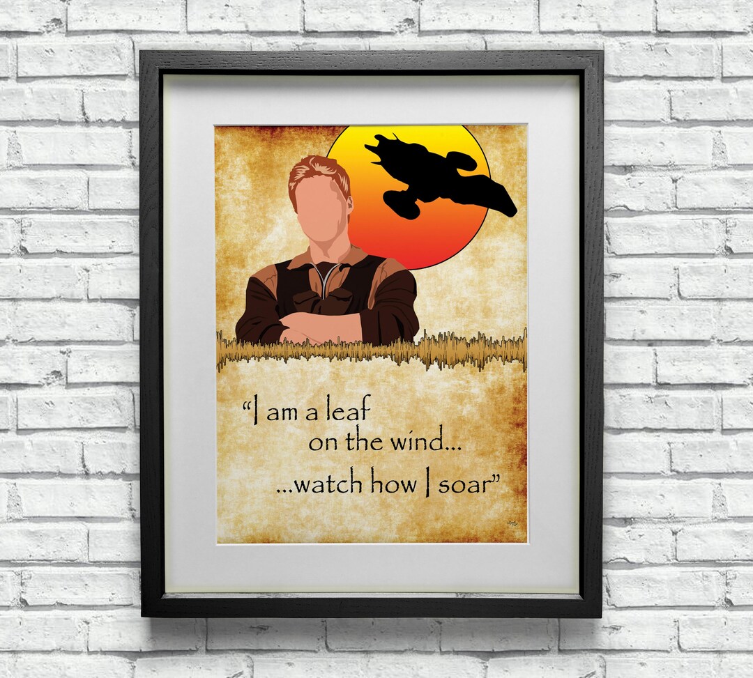 Wash - Firefly Serenity Soundwave Minimalist Style Cult TV Art Poster Print - Cool Geeky Sci-fi ...
