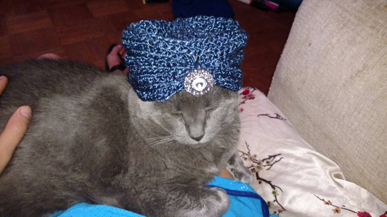 Custom Fancy Turban Cat Hat perfect for Christmas/Holidays | Etsy