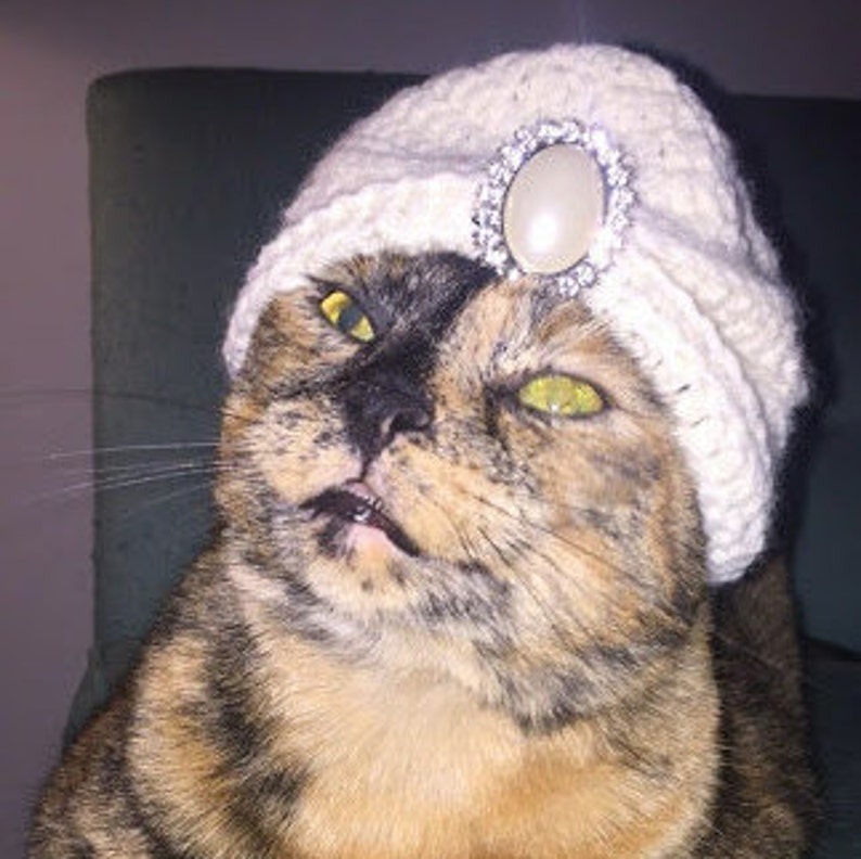 Custom Fancy Turban Cat Hat Perfect for Christmas/holidays | Etsy