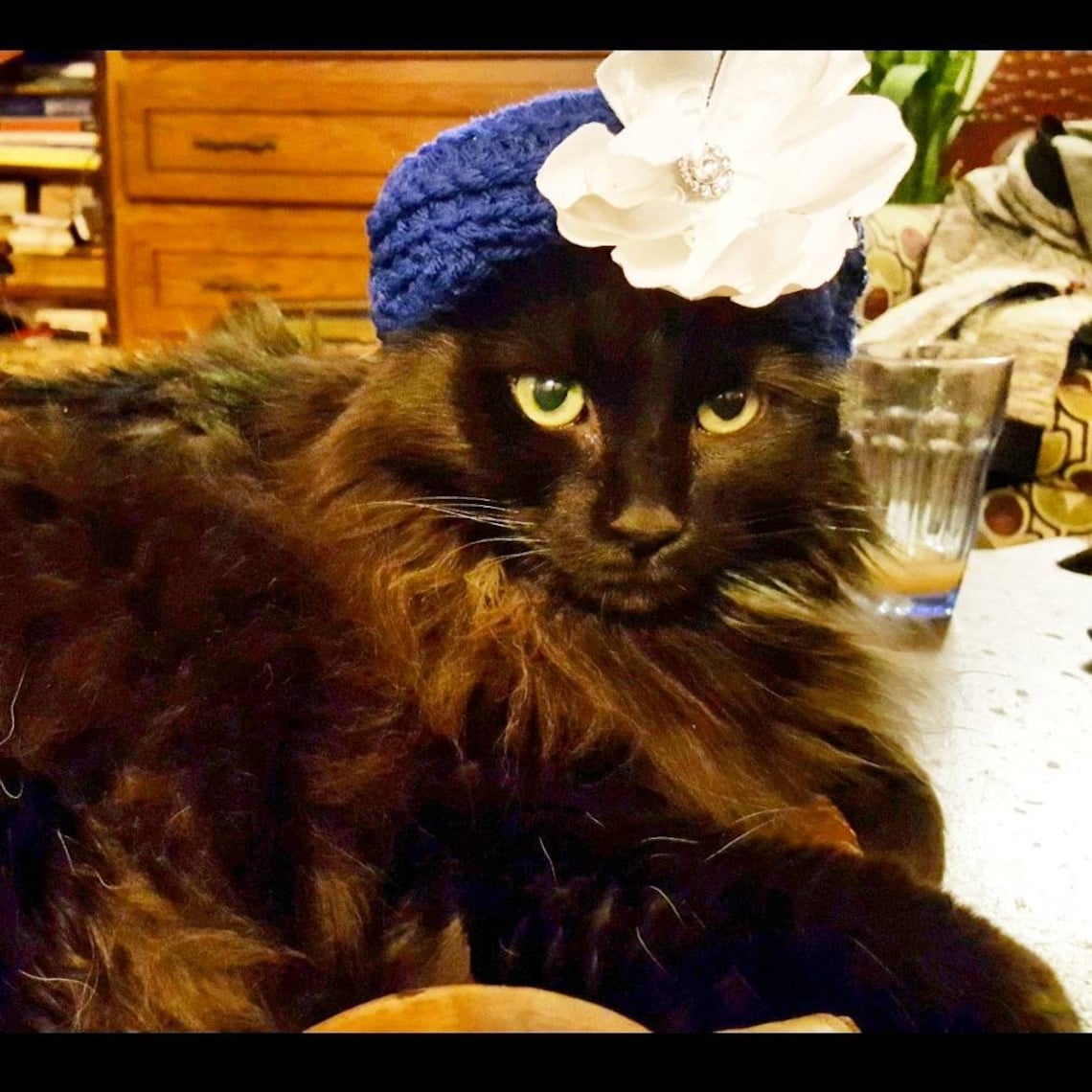 Custom Fancy Turban Cat Hat Perfect for Christmas/holidays | Etsy