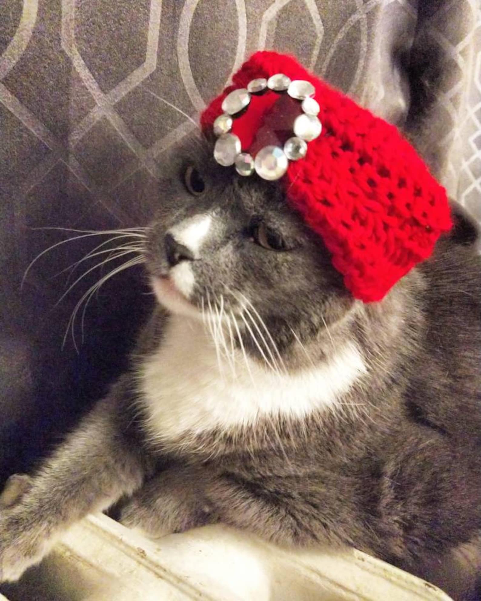 Custom Fancy Turban Cat Hat Perfect for Christmas/holidays - Etsy