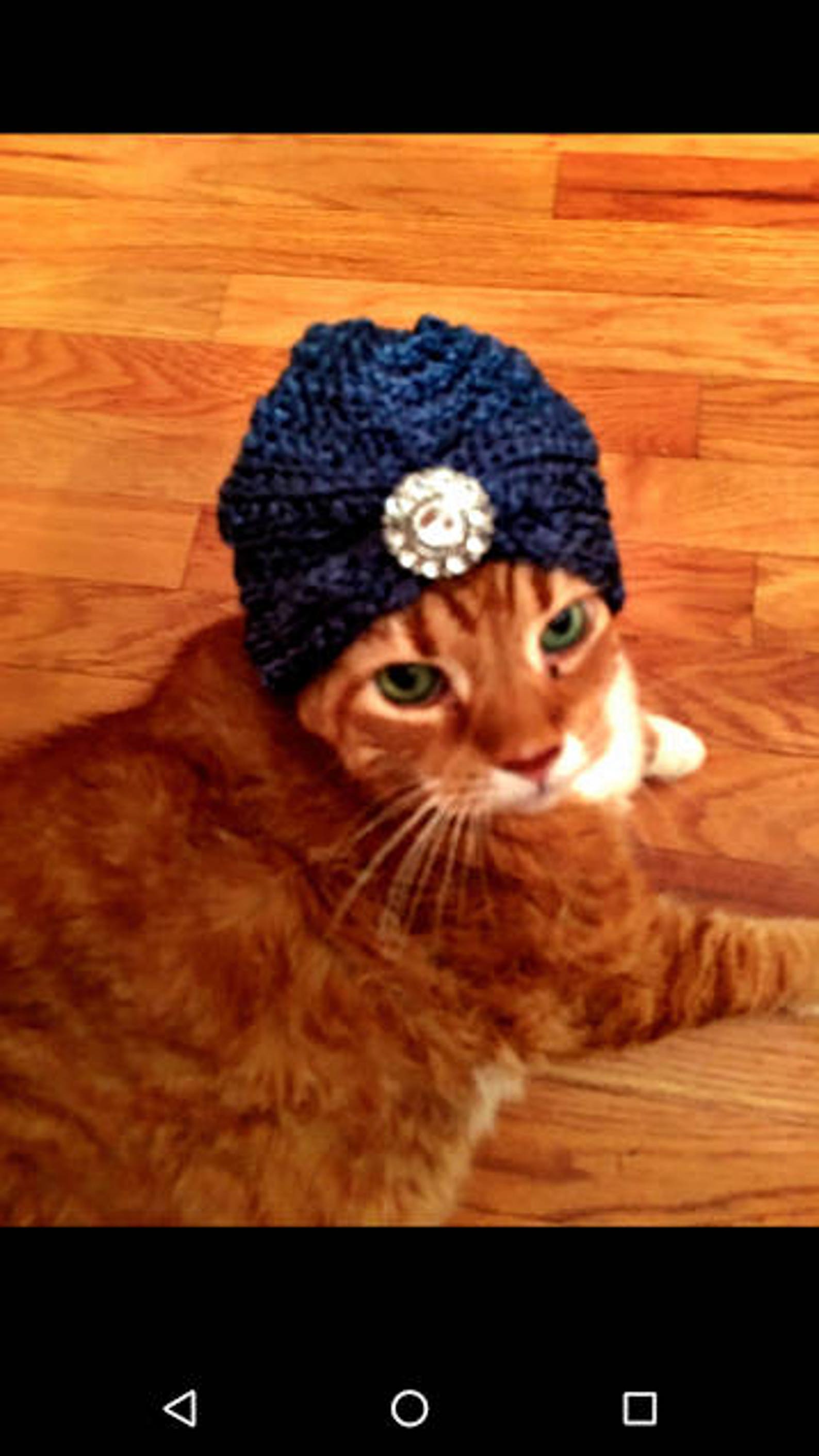 Custom Fancy Turban Cat Hat Perfect for Christmas/holidays | Etsy