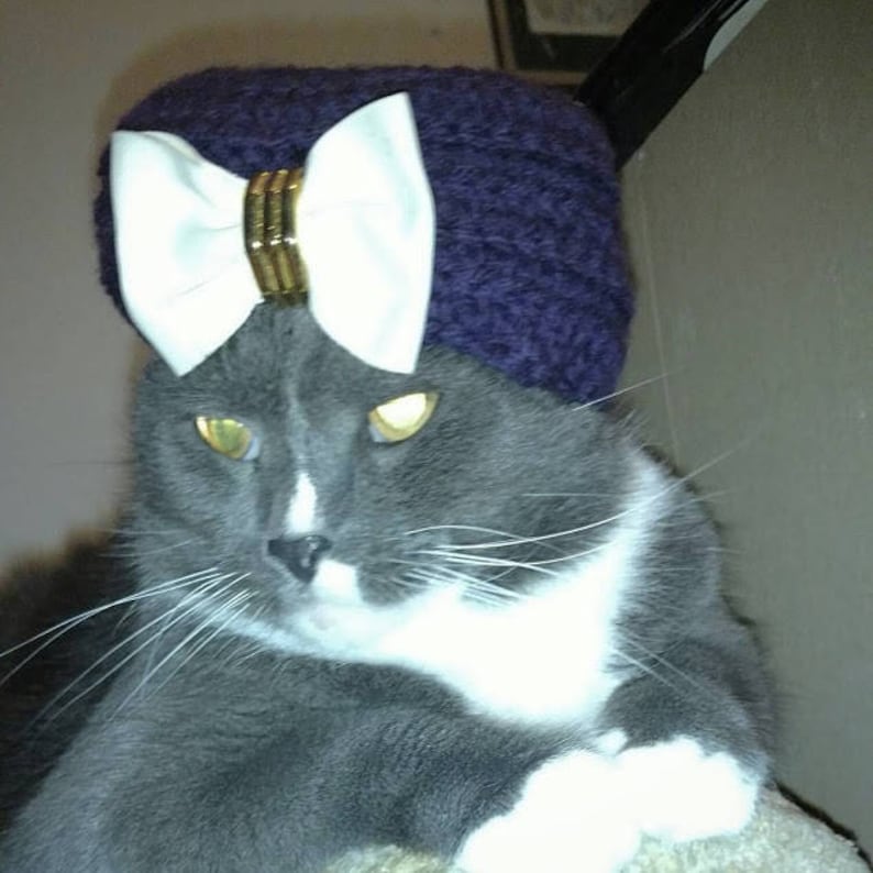 Custom Fancy Turban Cat Hat Perfect for Christmas/holidays | Etsy