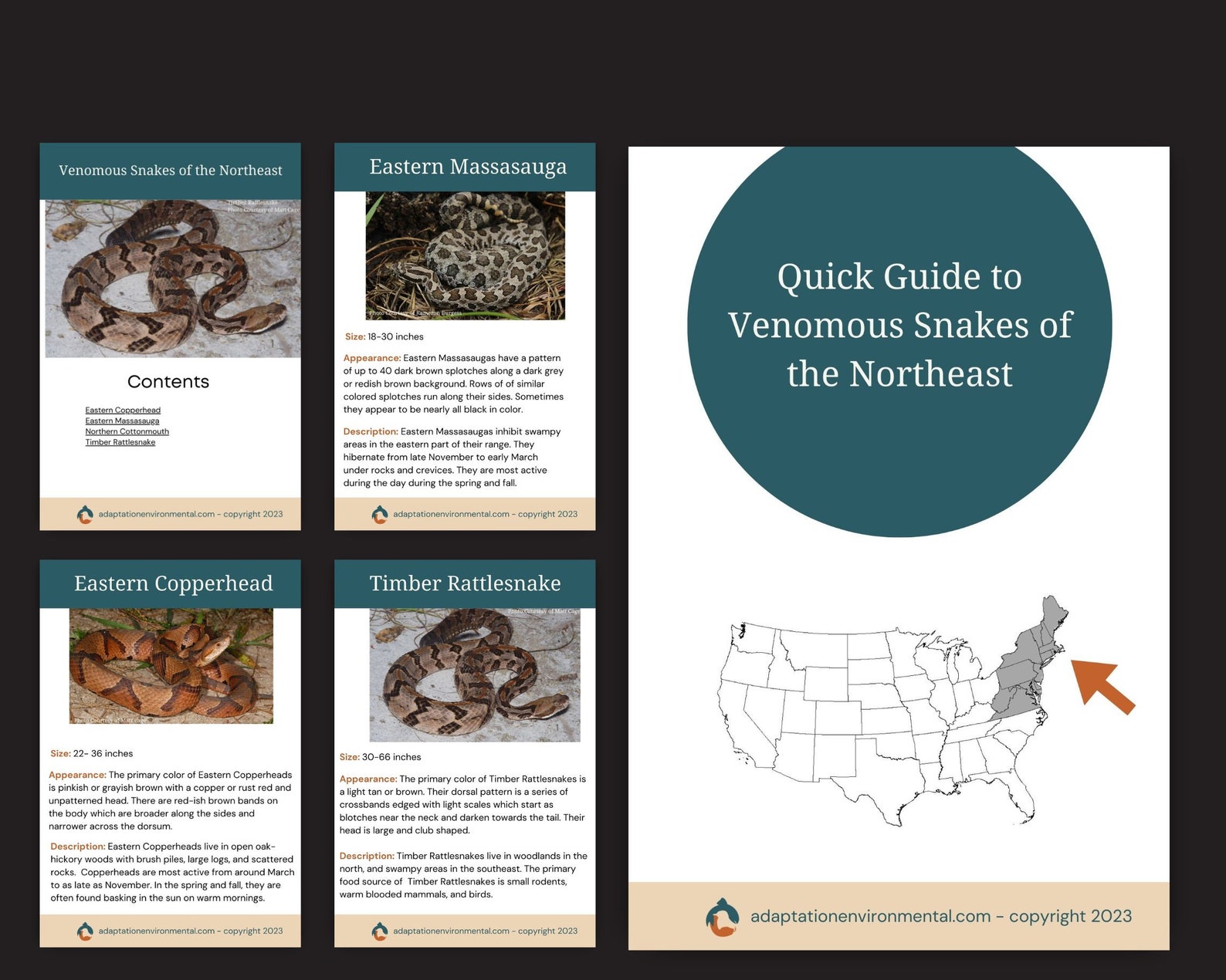 Venomous Snakes of the Northeast, Digital Guide, Printable - Etsy