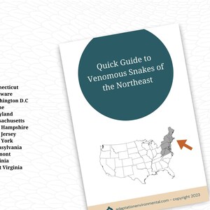 Venomous Snakes of the Northeast, Digital Guide, Printable - Etsy