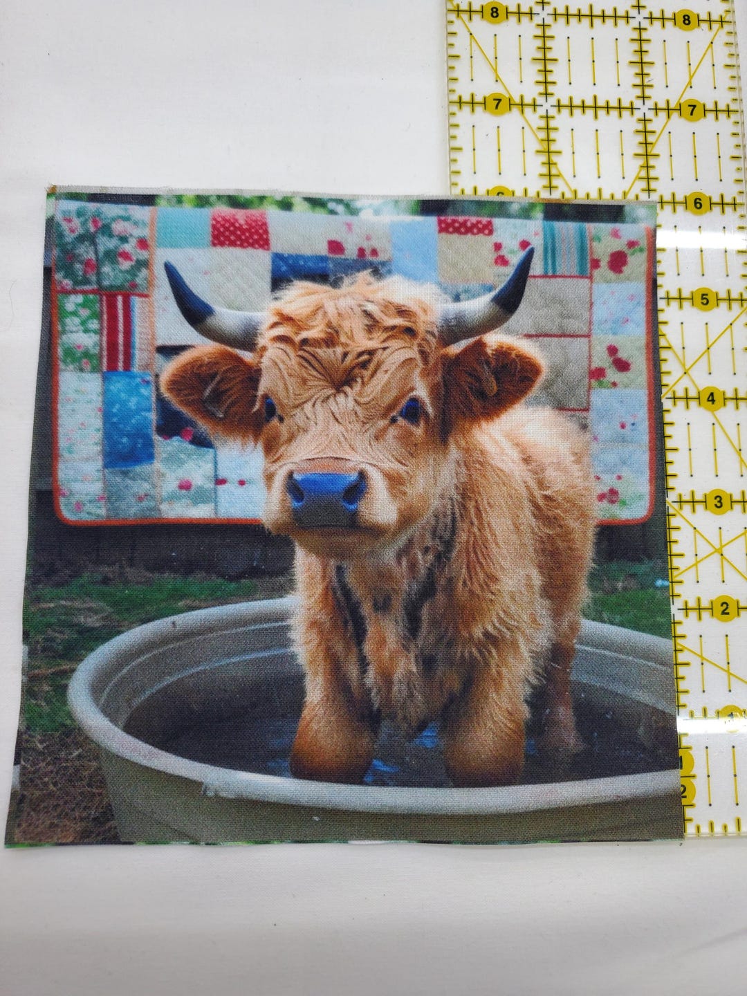 Highland Cow Quilt Block 6" in Bath Bucket - Etsy