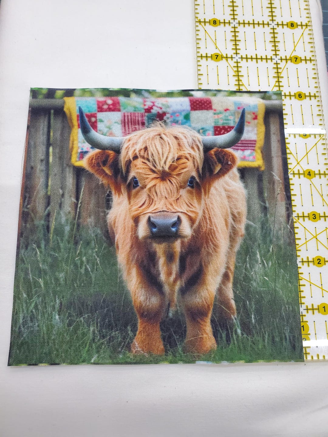 Highland Cow Quilt Block 6" Quilt on a Fence - Etsy