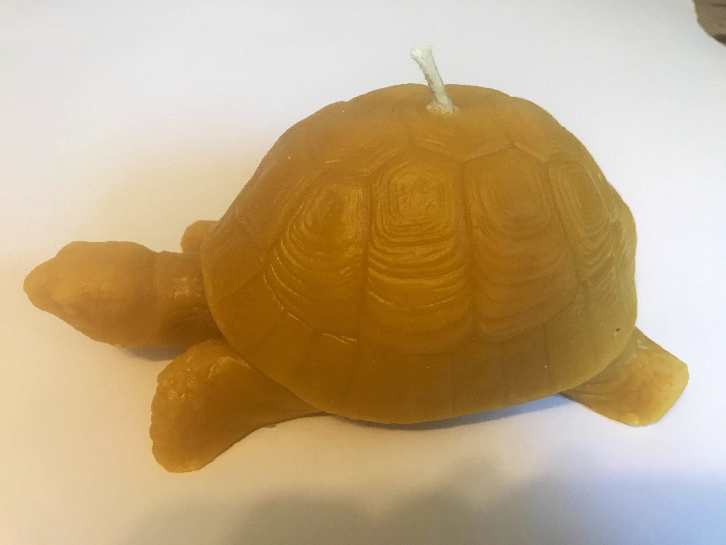 Tortoise Beeswax Candle- Large - Etsy