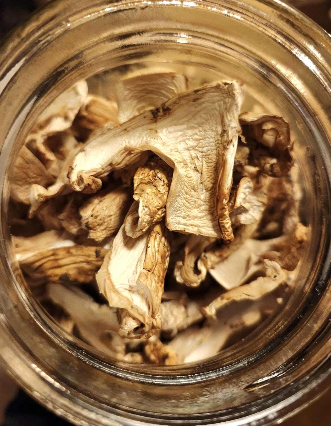 1 Oz Wild Matsutake Mushrooms (dried) - Etsy