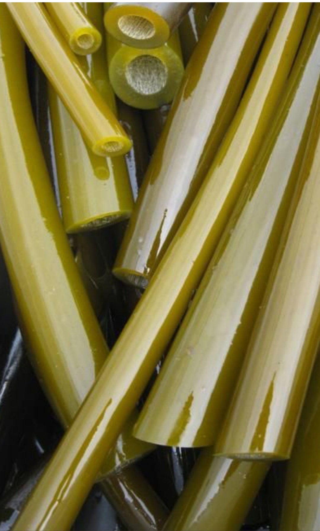 Fresh Raw Bull Kelp Sections - Etsy