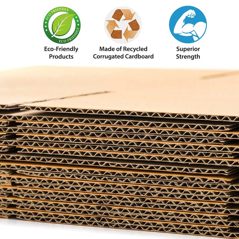 WRAITH REAPER 3 Pack Single Row Display Cases for Berserker - Etsy