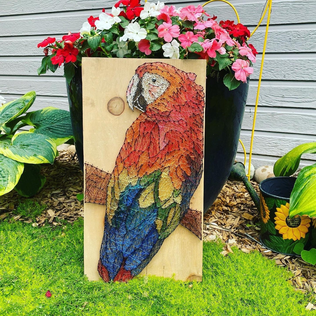 Macaw Parrot Wire String Art on Reclaimed Wood - Etsy