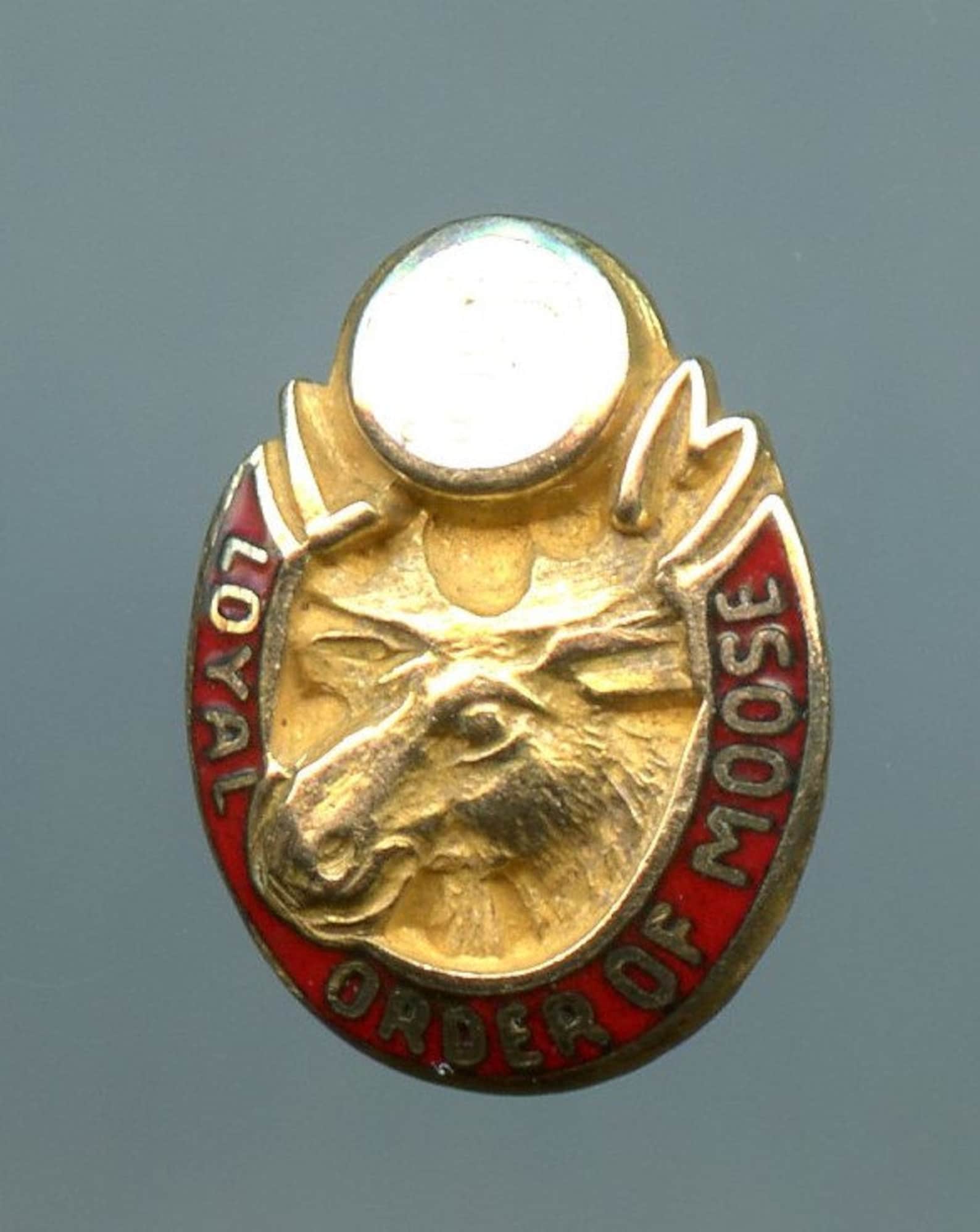 Loyal Order of Moose F Lapel Pin 10k Gold | Etsy