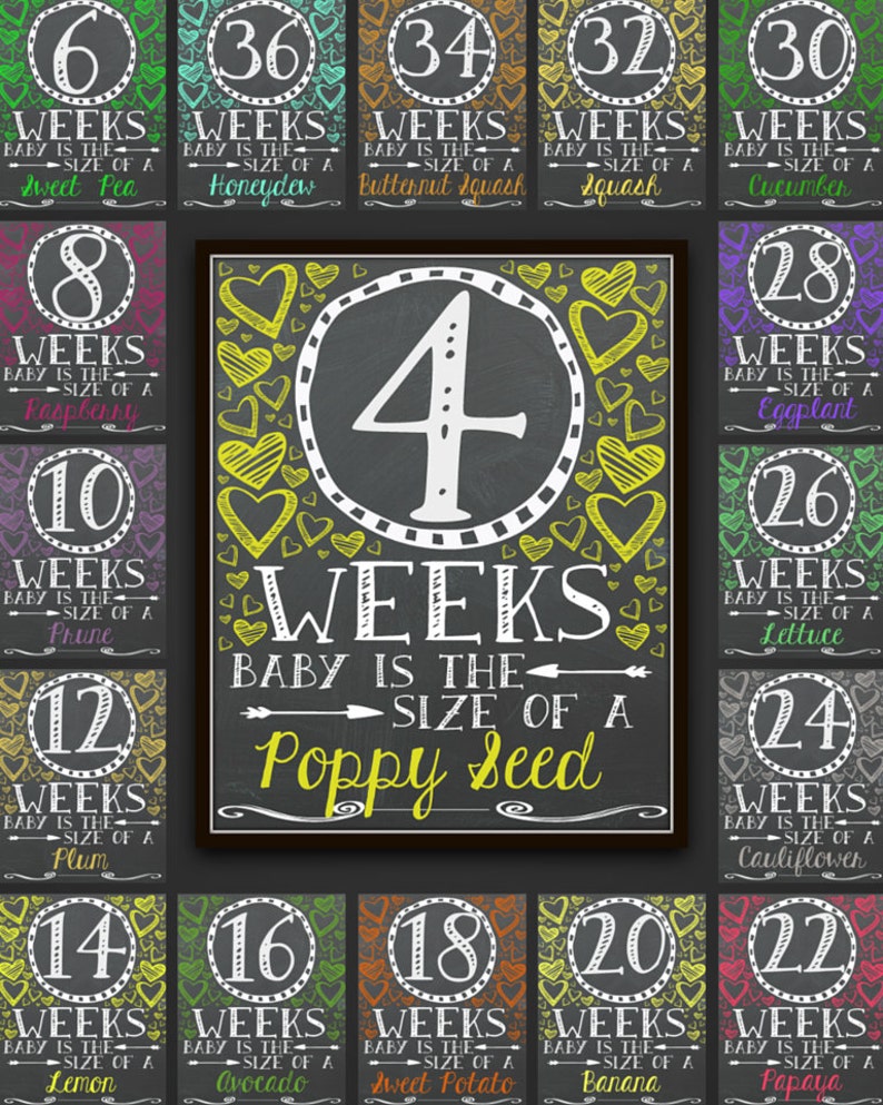 Chalkboard Bi Weekly Pregnancy Signs, Pregnancy Signs, Biweekly ...
