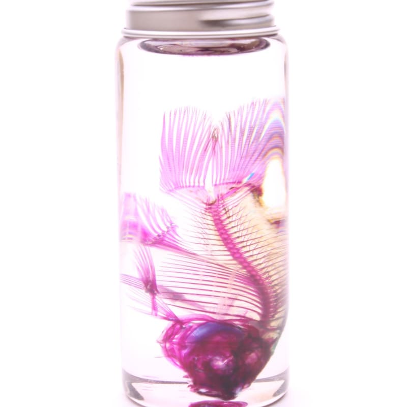 Diaphonization - Etsy