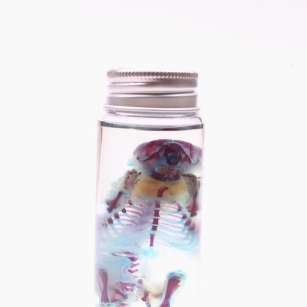 Diaphonization - Etsy