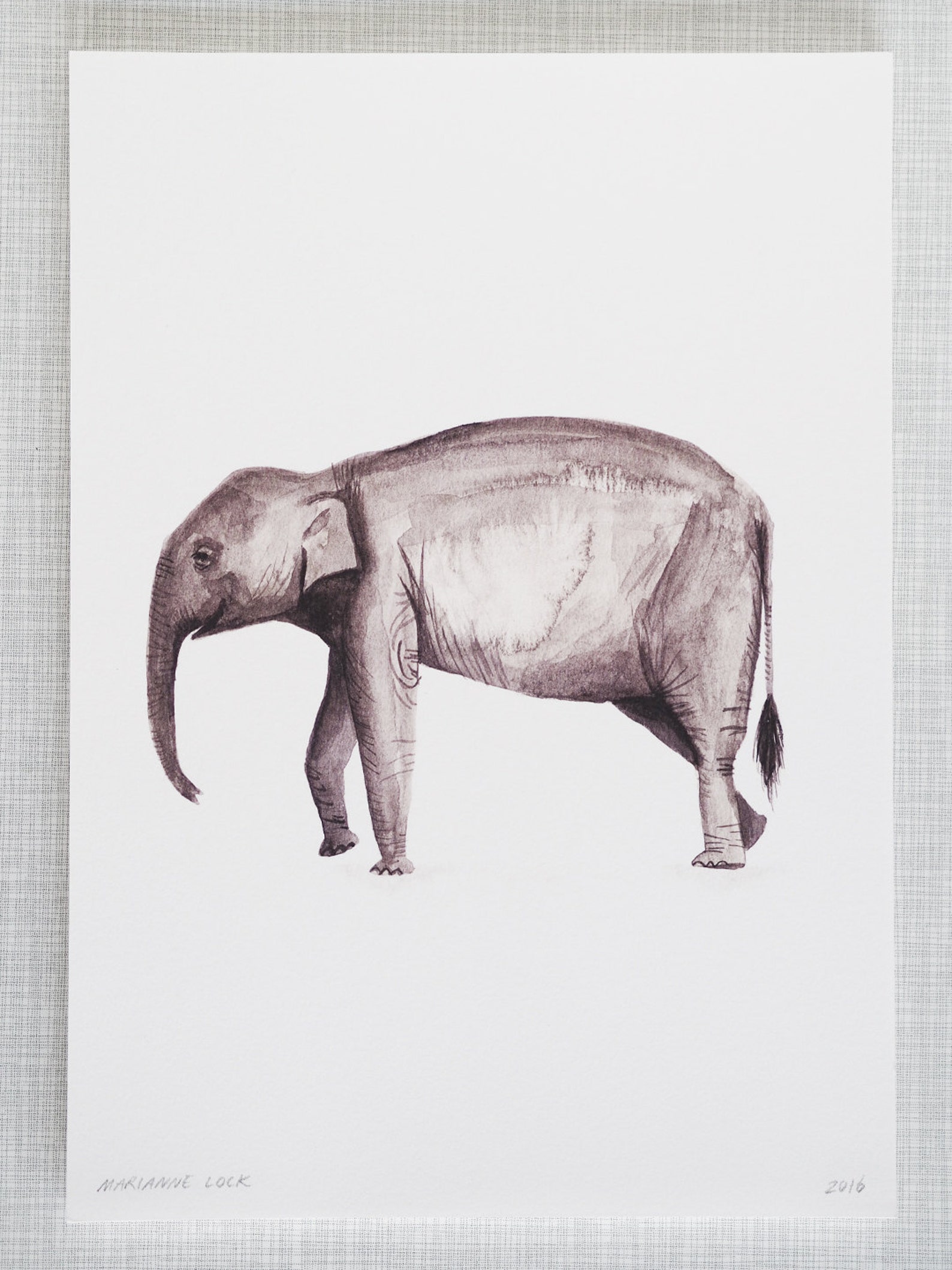 Elephant Animal Print A4 Size - Etsy