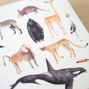 Animal Poster in A3 Size, Print on 100% Natural Recycled Paper - Etsy