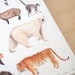 Animal Poster in A3 Size, Print on 100% Natural Recycled Paper - Etsy
