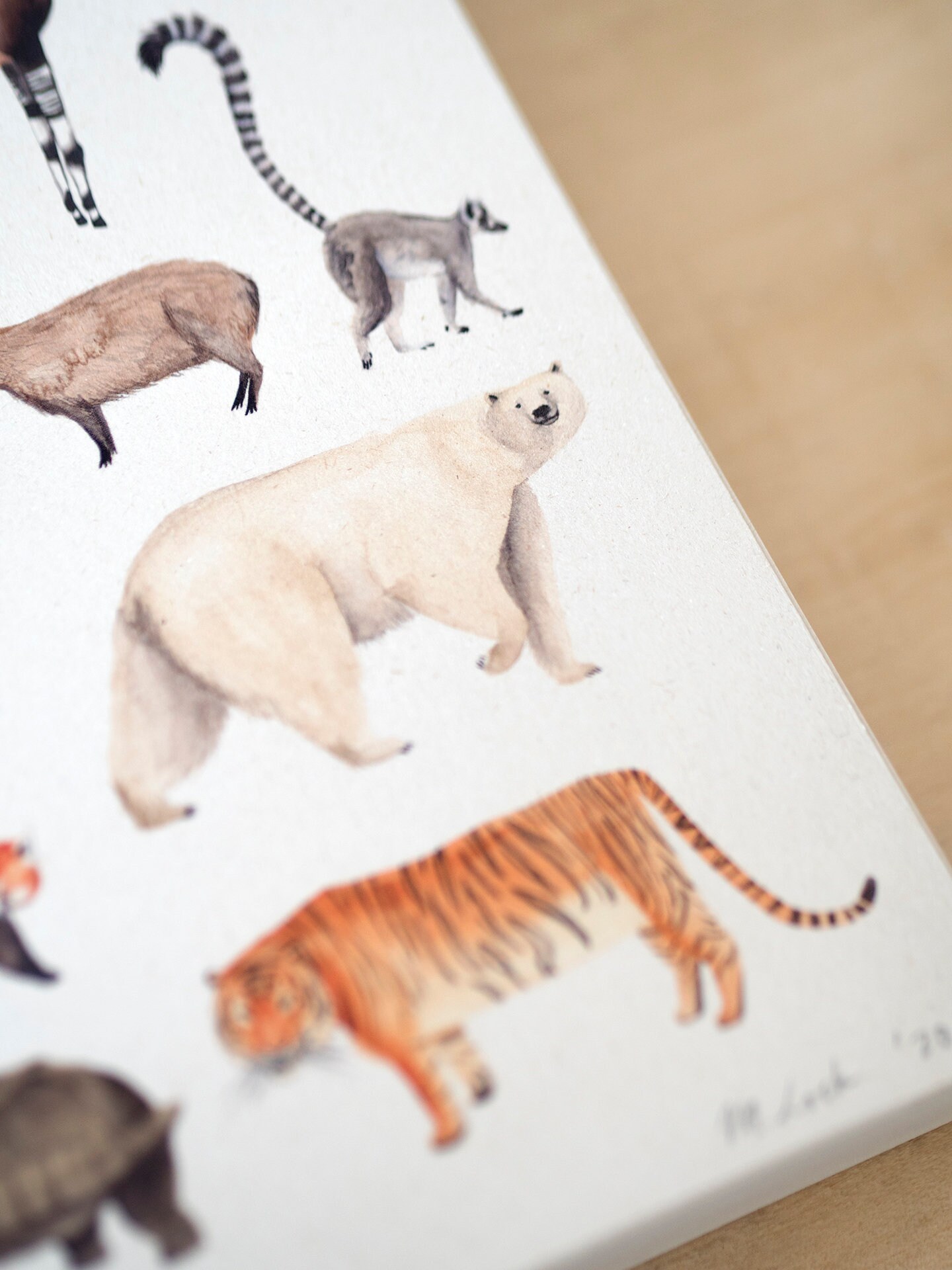Animal Poster in A3 Size, Print on 100% Natural Recycled Paper - Etsy