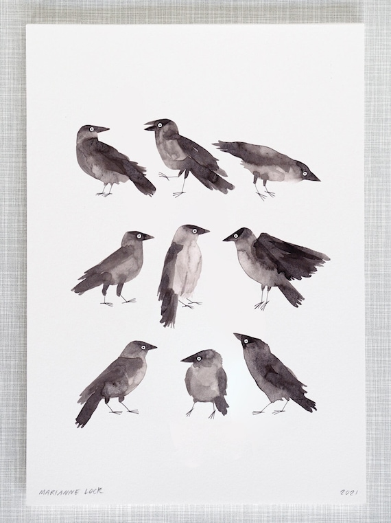 Crows Illustration Art Print A4 Size / Kraaien Illustratie - Etsy