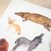 Animal Poster in A3 Size, Print on 100% Natural Recycled Paper - Etsy