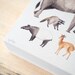 Animal Poster in A3 Size, Print on 100% Natural Recycled Paper - Etsy