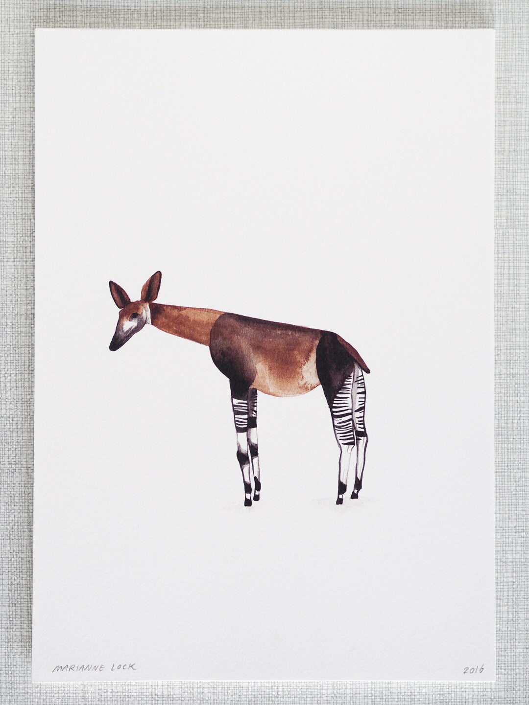 Okapi Animal Print A4 Size - Etsy