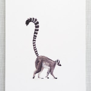 Lemur Animal Print A4 Size - Etsy