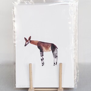 Okapi Animal Print A4 Size - Etsy