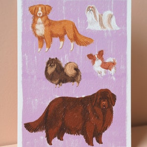 Dog Postcards, 4 Different Cards With Dog Illustrations - Etsy