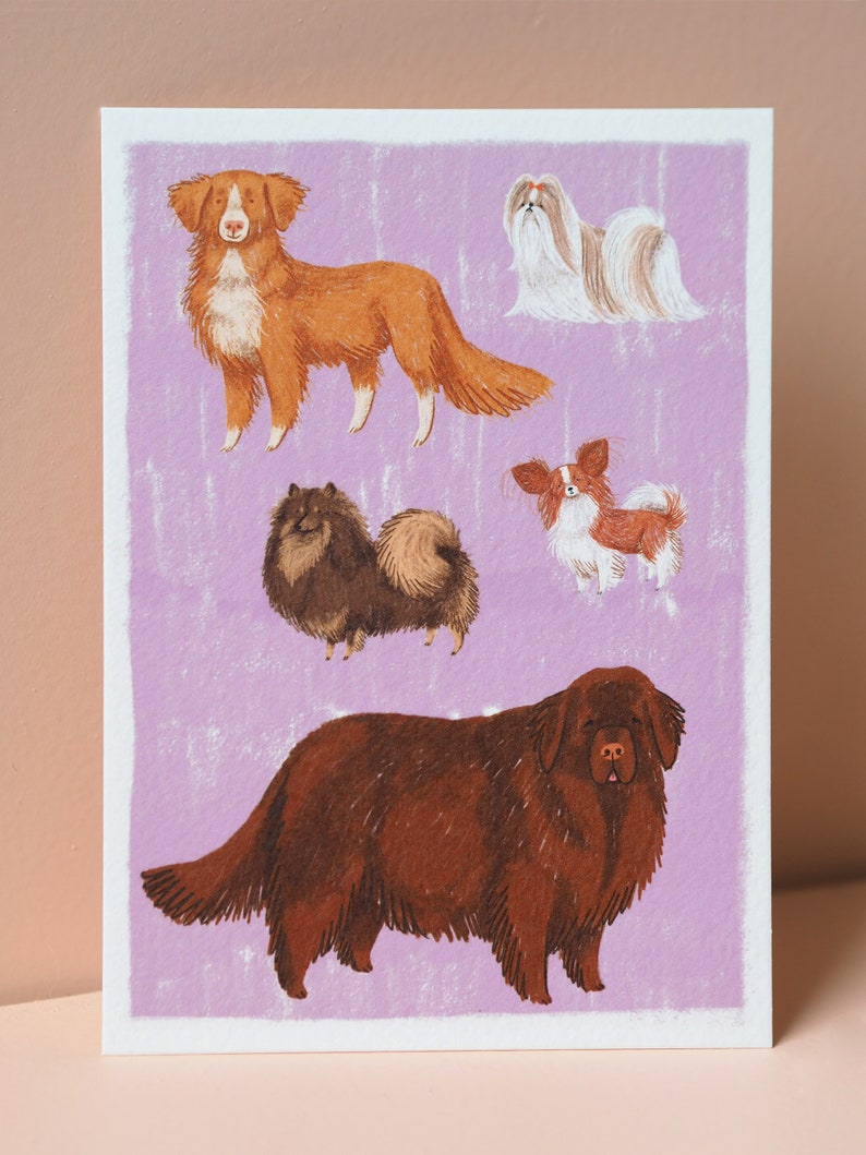 Dog Postcards, 4 Different Cards With Dog Illustrations - Etsy