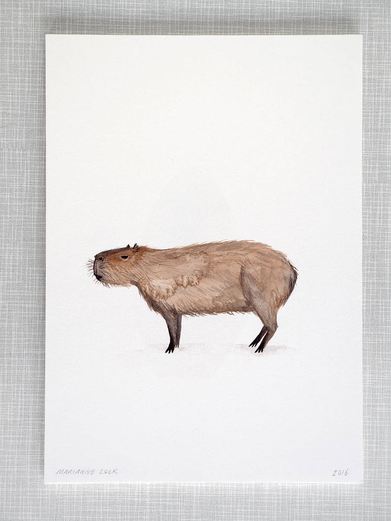 Tamaño Capybara Animal Print A4 - Etsy España