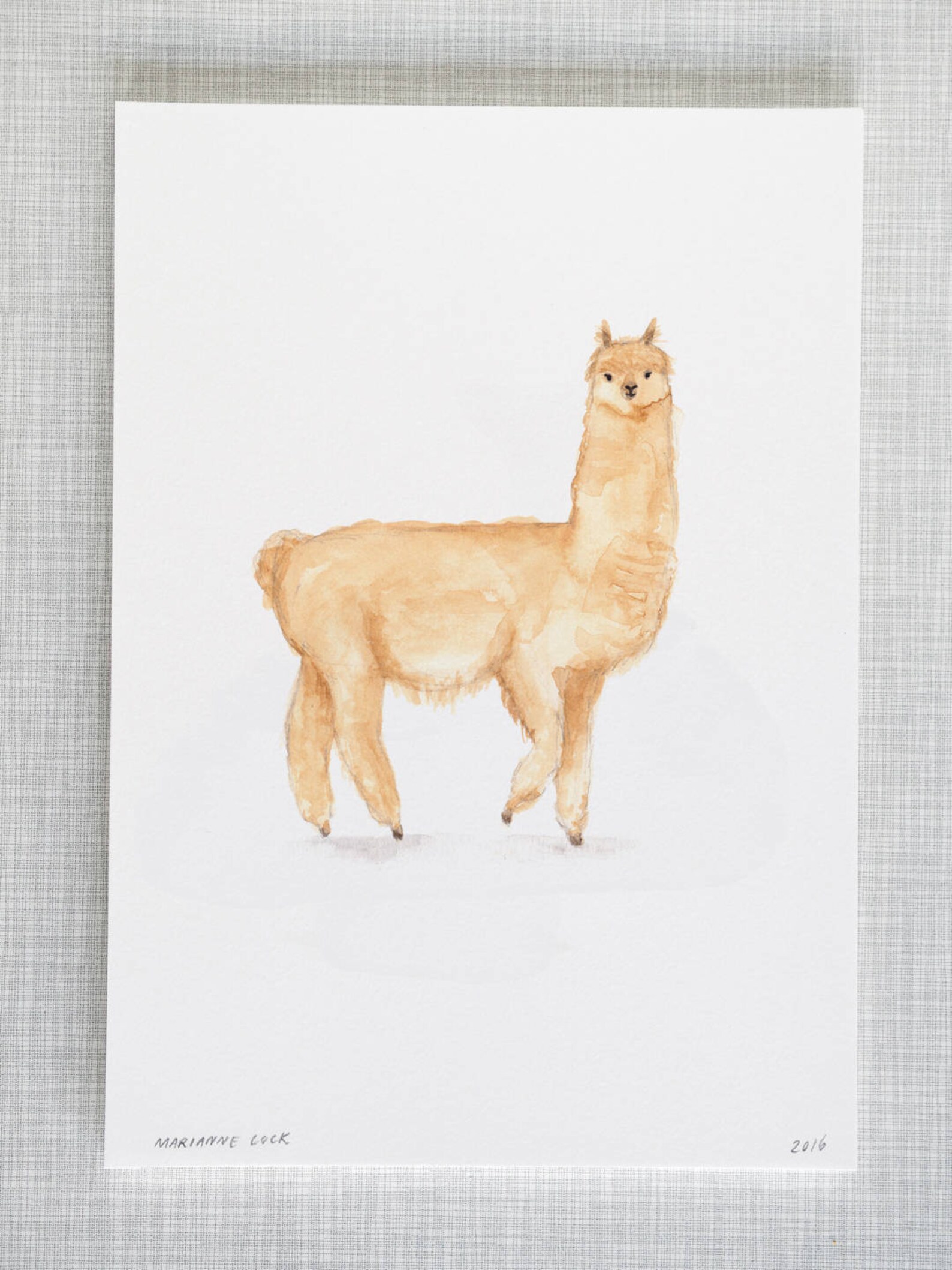 Llama Animal Print A4 Size - Etsy