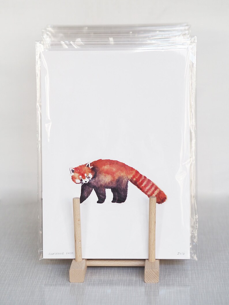 Red Panda Animal Print A4 Size - Etsy