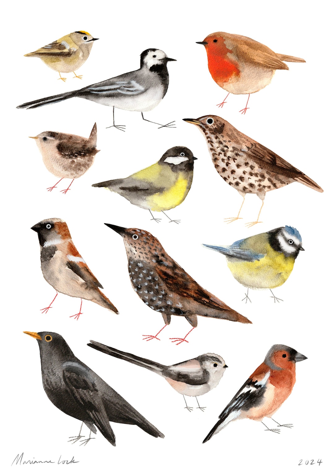 Birds Art Print in A4 Size - Etsy