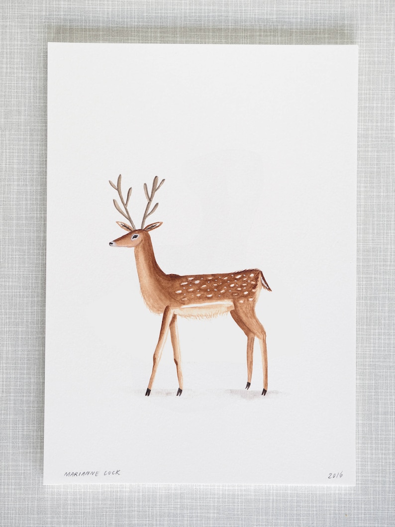 Deer Animal Print A4 Size - Etsy