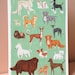 Dog Postcards 4 Different Cards With Dog Illustrations - Etsy