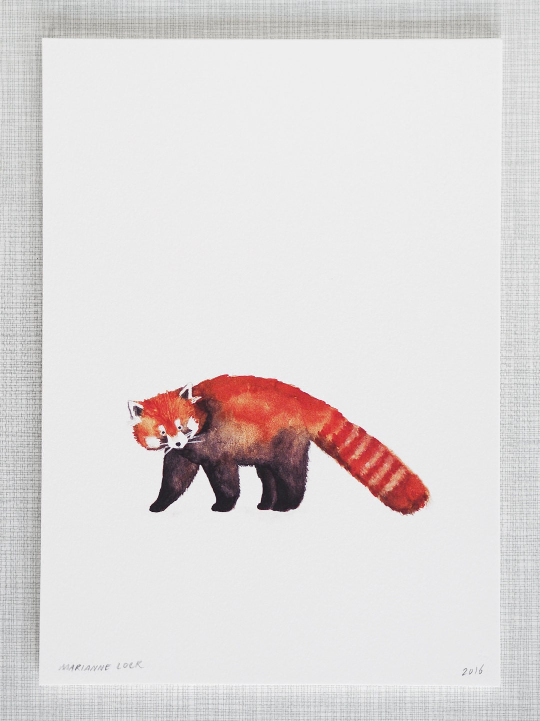 Red Panda Animal Print A4 Size - Etsy