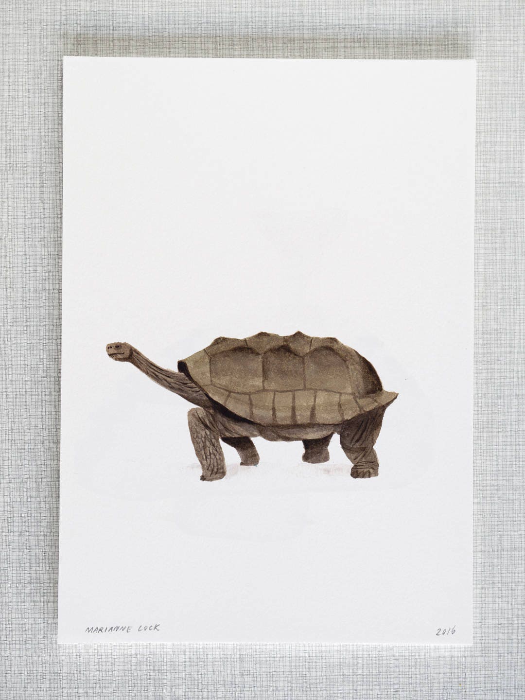 Tortoise Animal Print A4 Size - Etsy