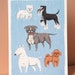 Dog Postcards 4 Different Cards With Dog Illustrations - Etsy