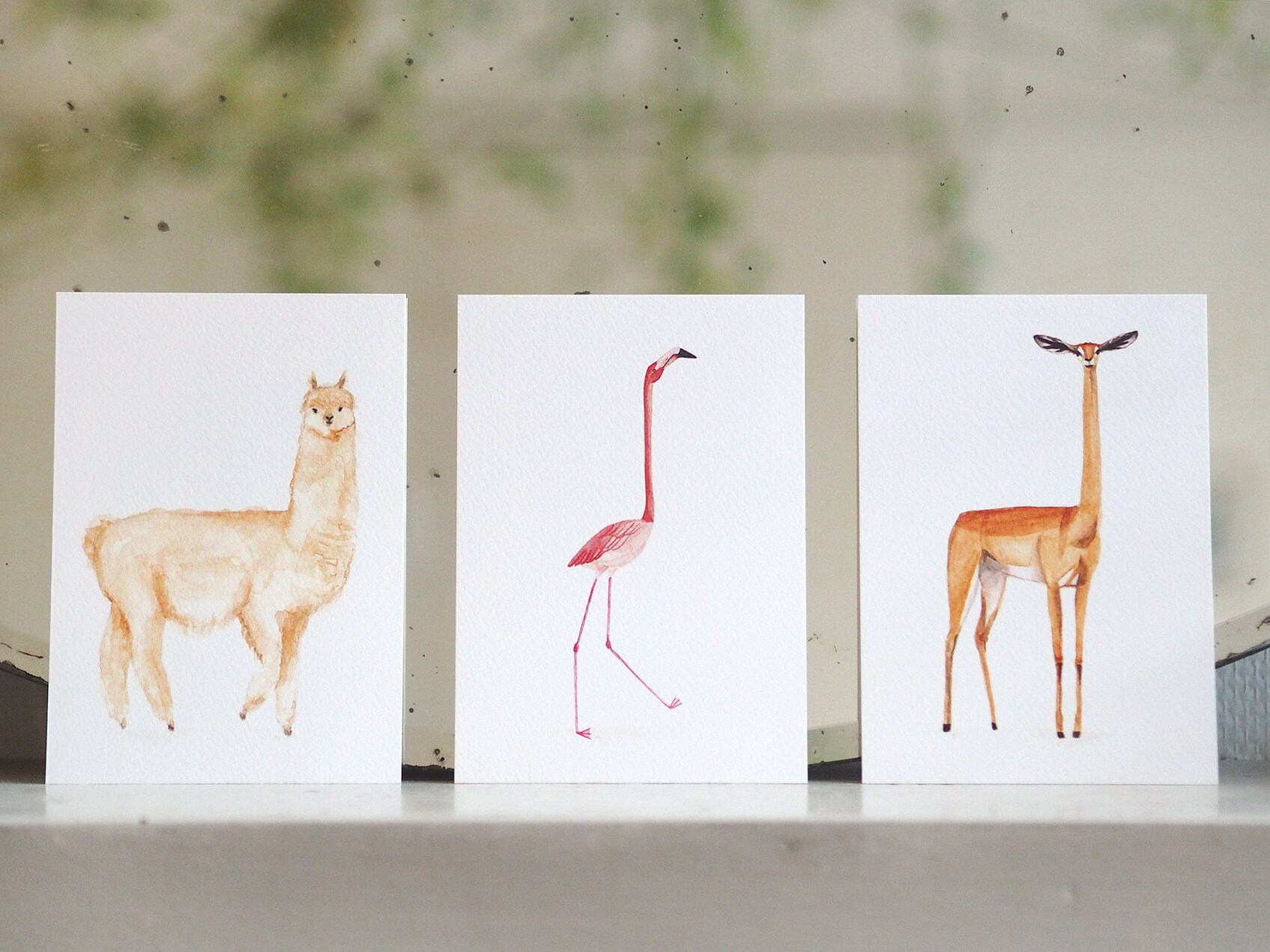 Animal Postcards 6 Different Animals Llama Sloth Giraffe | Etsy