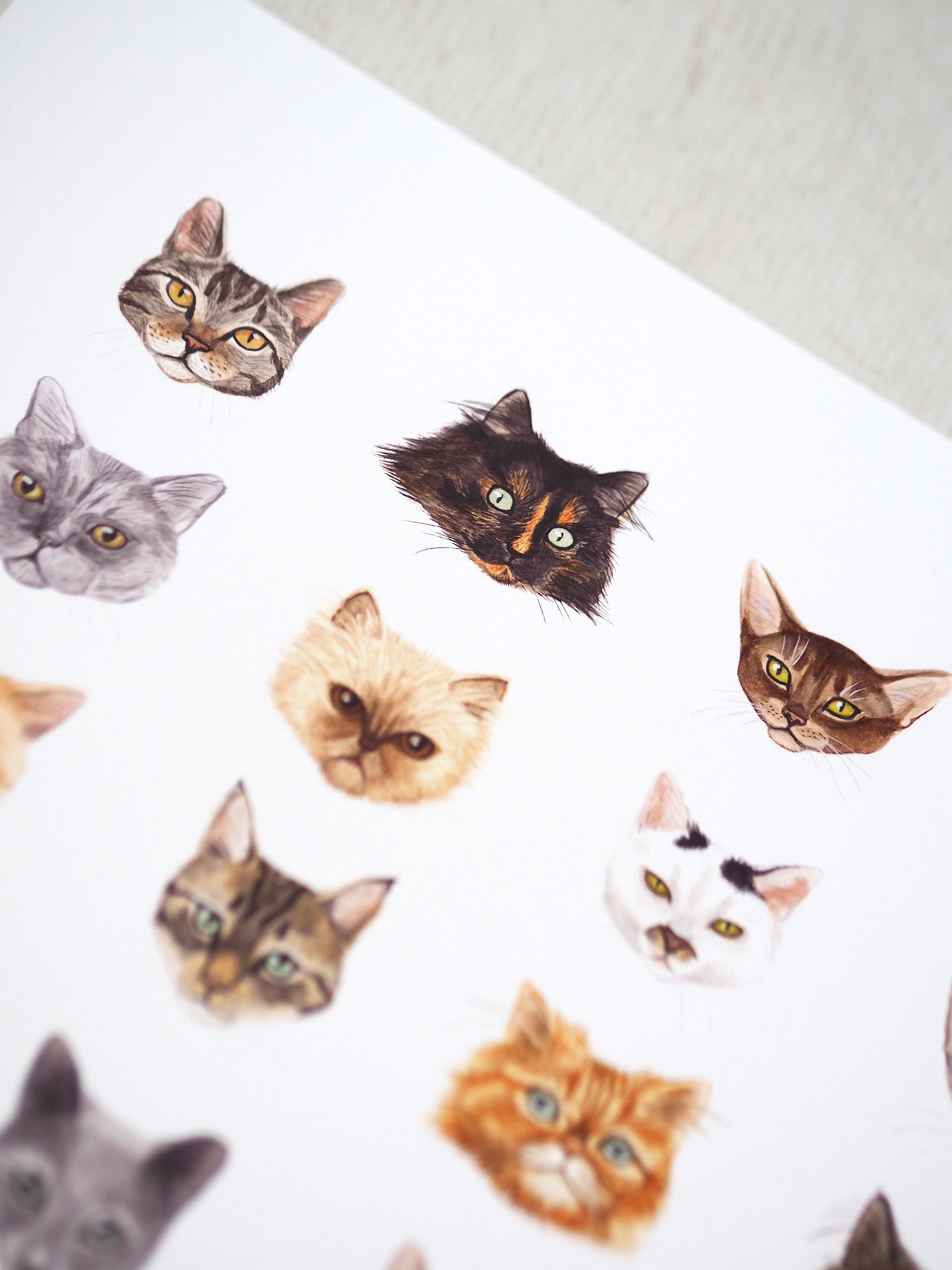 Cat Poster in A2 or A4 Size Print With Illustration of - Etsy Australia